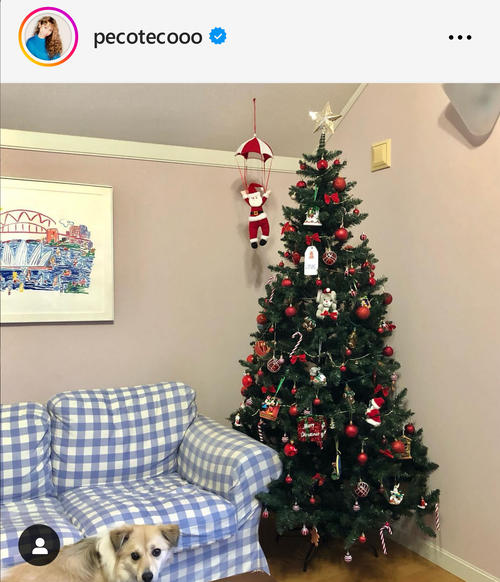 peco、ryuchellさん思い出のクリスマスツリー飾り「息子は朝からりゅうちぇるの写真を…」 - 芸能 : 日刊スポーツ